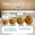 Buy natural honeycomb sea sponge online | Jordan Benedict London, UK