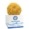 Buy natural honeycomb sea sponge online | Jordan Benedict London, UK