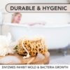 Buy Luxury honeycomb sea sponge online | Jordan Benedict London, UK