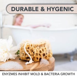 Buy natural honeycomb sea sponge online | Jordan Benedict London, UK