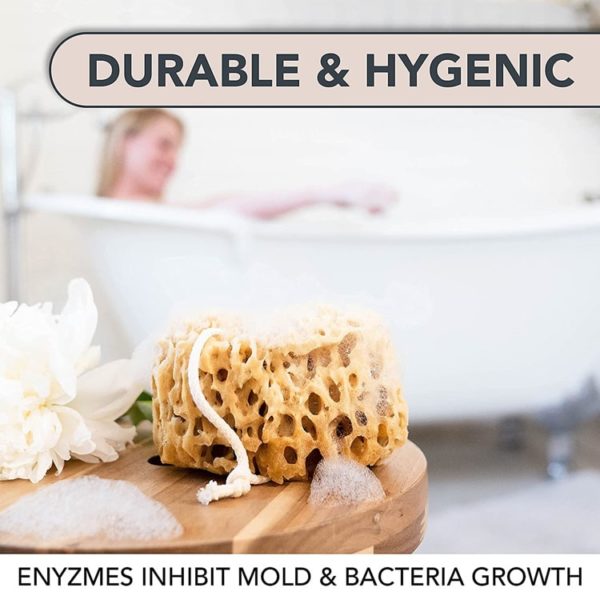 Buy Luxury honeycomb sea sponge online | Jordan Benedict London, UK