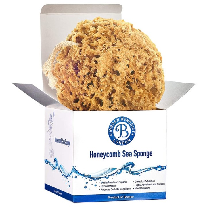 Order natural sea sponges online | Jordan Benedict London UK
