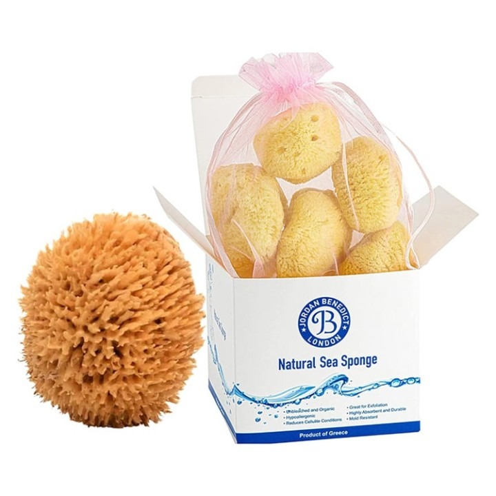 100% Real natural sea sponges | Jordan Benedict London, UK
